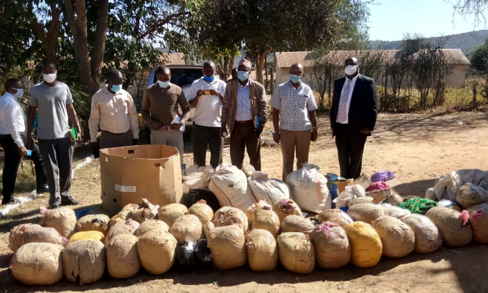 Government Destroys Bhang Worth Sh12M In Garissa - Kenya Insights