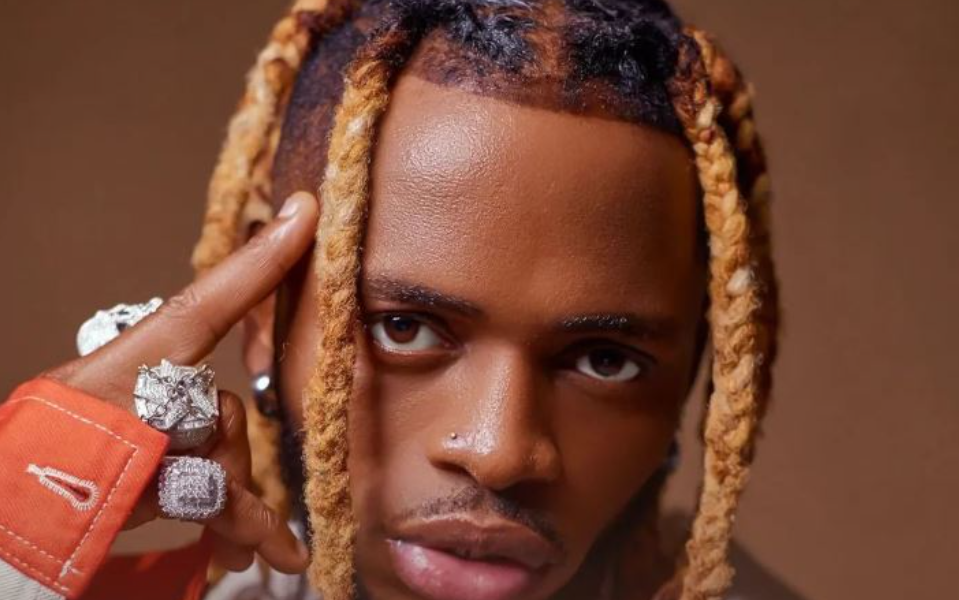 Diamond Platnumz Takes Aim at Haters, Unveils WCB's Newest Signee ...