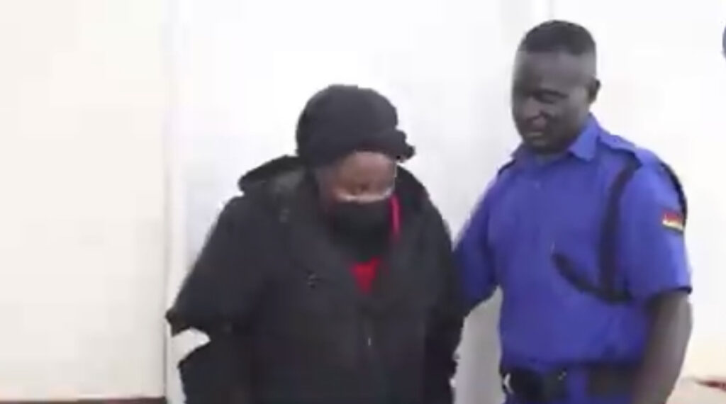 Kangema Politician Julia Nyokabi Chege Charged With Multimillion Fraud - Kenya Insights