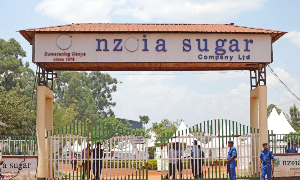 State Commences Revival Of Nzoia Sugar Company - Kenya Insights