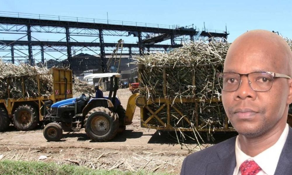 Sony Sugar Management On Patronage Martine Dima, the New MD, Cuts A ...