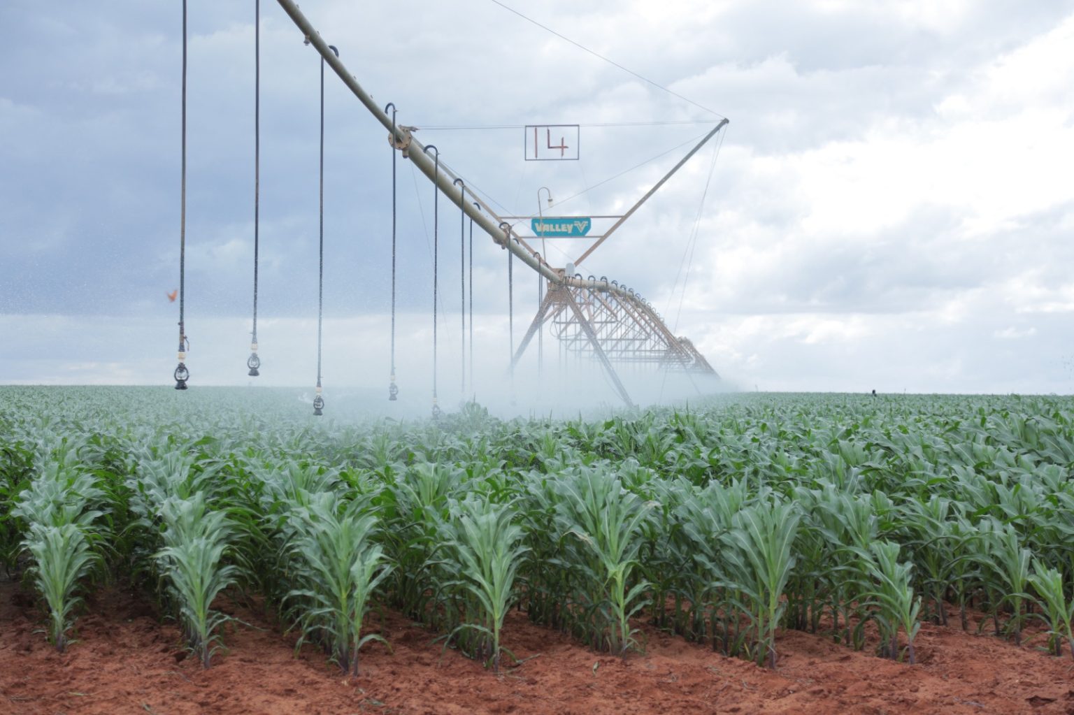 Private Investor to Inject Sh12.5 Billion into Galana-Kulalu Food ...