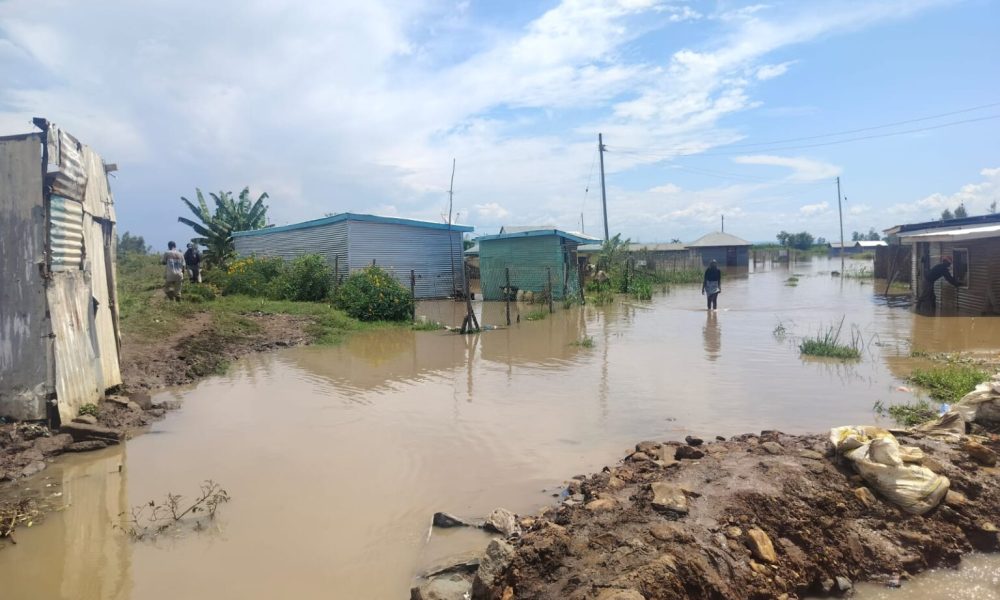 Weatherman Forecasts Mixed Rainfall Patterns For March-May 2025 Season ...