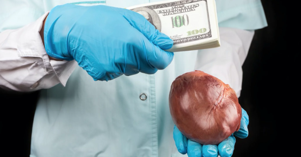 How the Truth Was Cut Out: Inside the Mediheal Organ Trafficking ...
