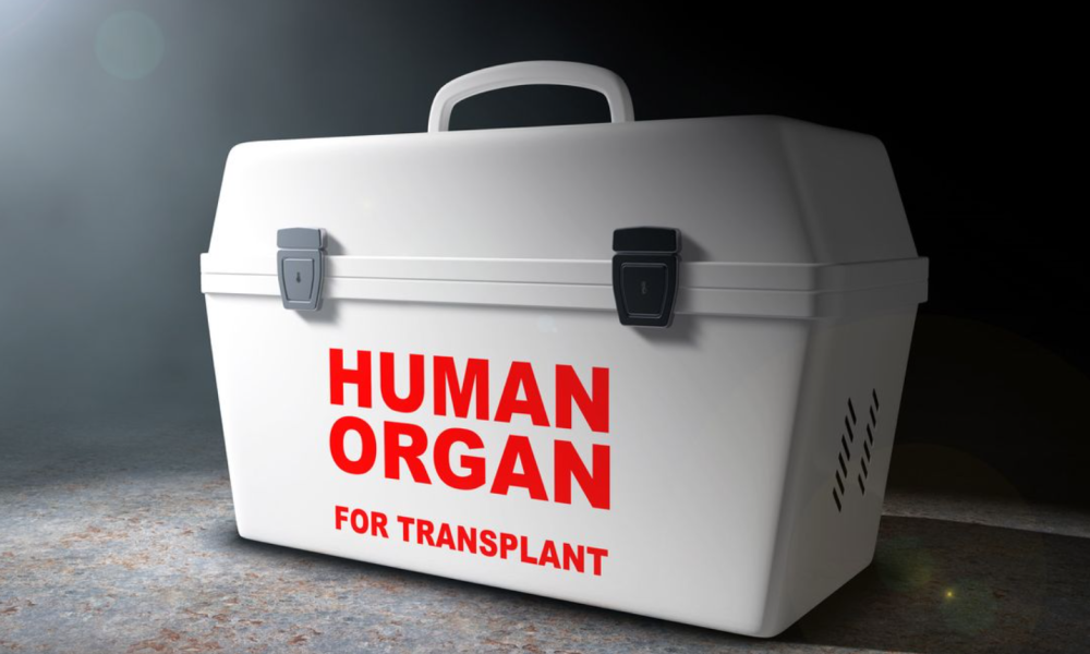 Israeli Tip That Blew the Lid on Organ Trafficking at Mediheal - Kenya ...