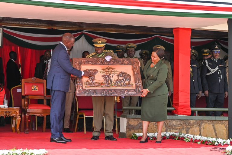 Maasai Mara Enters World Book of Records for Earth’s Greatest Wildlife ...
